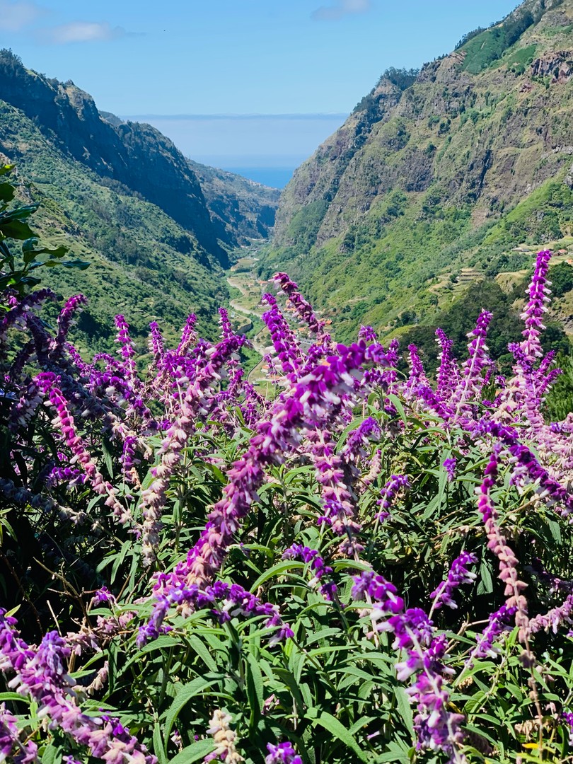 Fotoblog - Madera Wycieczki Ryszard Baraban Zwiedzanie Madery z ...